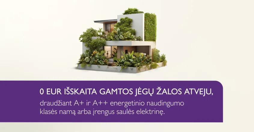 Draudimas internetu | Lietuvos draudimas
